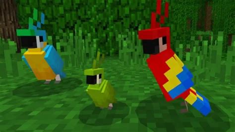 Parrot Breeding In Minecraft The Ultimate Guide