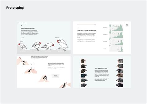 D Source Case Study Slide Show Visualizing Biological Evolution D Source Digital Online