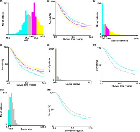 Identification Of Optimal Cut‐off Values Of Age A B Lymph Nodes