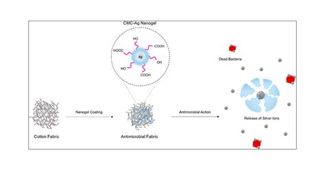 Silver Nanoparticle Embedded Nanogels For Infection Resistant Surfaces Acs Applied Nano Materials