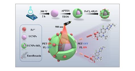 One Stone Two Birds An Upconversion Nanosensor For Sensitive Detection