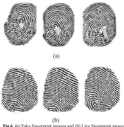 Figure 6 From Fingerprint Liveness Detection Using Denoised Bayes Shrink Wavelet And Aggregated