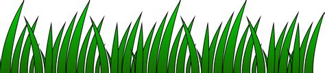 Ornamental Grass Vector Art Png Images Free Download On Pngtree