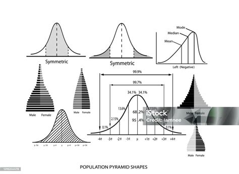 Standard Deviation Diagram With Population Pyramid Chart Stock