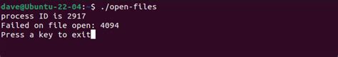 How To Solve The Too Many Open Files Error On Linux