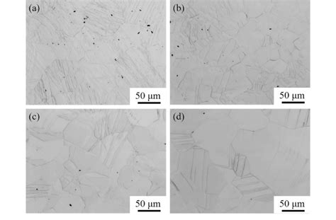 Microstructures Of Ti Nb Cr Alloys After Tensile Tests A Download Scientific Diagram