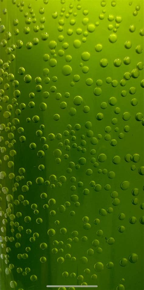Benjamin Schmid On Linkedin Microalgae Greeninnovation Sustainabletech Bioplastic