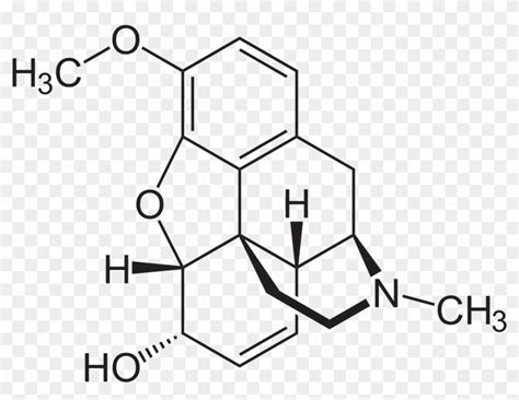 Codeine Structure HD Png Download X PngFind