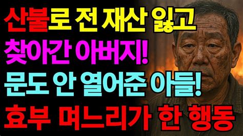 언제 가실거에요 산불로 전 재산 잃고 찾아간 아들집 문도 안 열어준 아들에게 효부 며느리가 한 행동 오디오북 사연