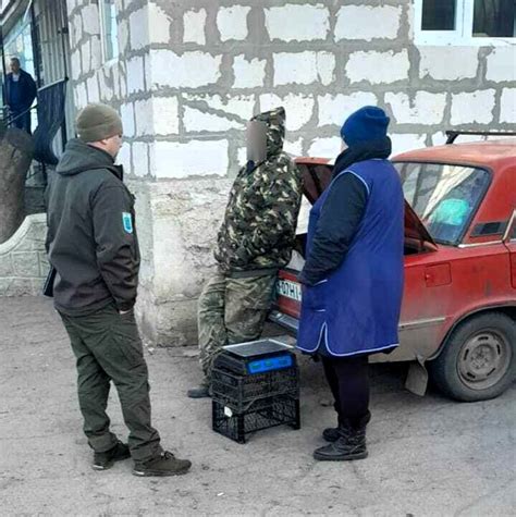 Продавав рибу без документів на мешканця Миколаївщини склали протокол Читайте на Ukr Net