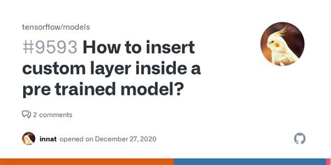 How To Insert Custom Layer Inside A Pre Trained Model · Issue 9593