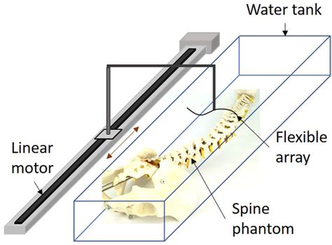 illustration of the setup of linear motor and the flexible transducer