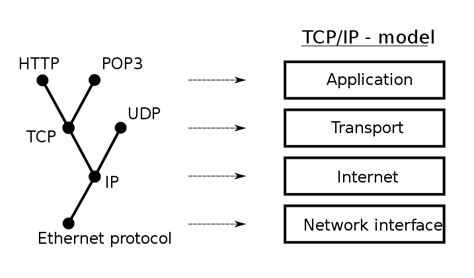 Reading Computer Network Introduction To Computer Applications And Concepts