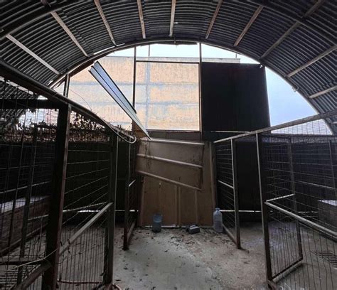 Смениха директора на общинския приют за бездомни кучета във Варна