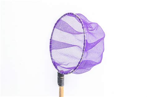 흰색 배경에 고립 낚시 보라색 색상 작은 그물 원 모양으로 수족관 물고기 그물 국자를 닫습니다 깨끗한에 대한 스톡 사진 및 기타 이미지 Istock