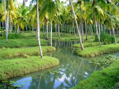Waterworlds Nine Great Wetlands For Watching Wildlife Lonely Planet