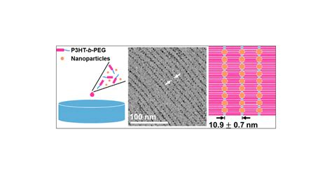 Binary Self Assembly Of Conjugated Block Copolymers And Quantum Dots At