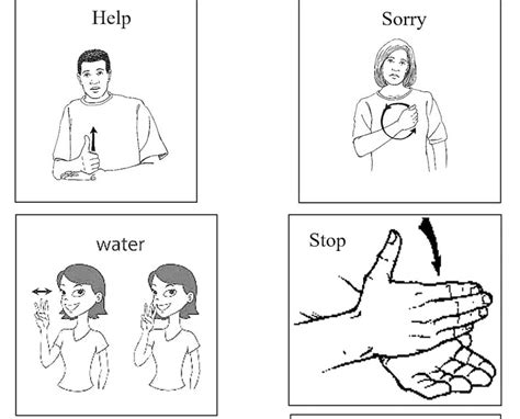 Asl Basics Cheat Sheet Etsy