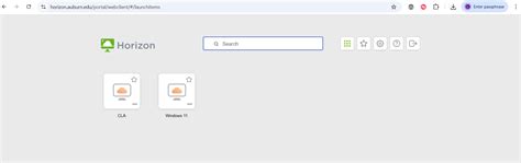 Accessing Vmware Horizon With A Web Browser Service Portal