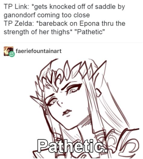 Twilight Princess Zelda Memes