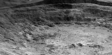 The Spring Institute