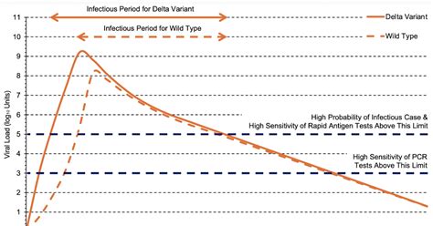 The Gazetteer Why A Single Negative Rapid Antigen Test Result Is Not