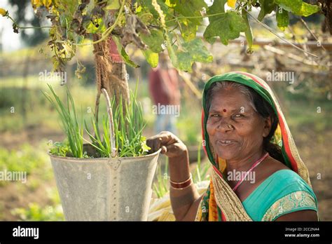 A Female Smallholder Farmer Grows Seedlings Suspended From A Trellis To