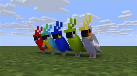 How To Remove Parrot From Shoulder Minecraft