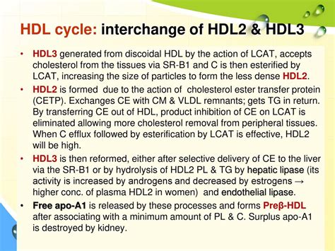 Dr Eman Shaat Professor Of Medical Biochemistry And Molecular Biology Ppt Download