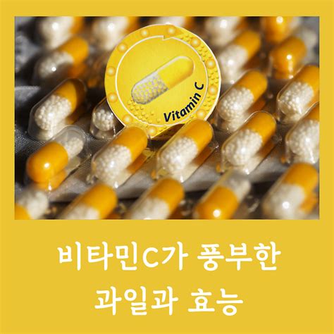 비타민c가 풍부한 과일과 효능