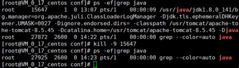 Linux下jdk和tomcat的安装配置linux Tomcat配置jdk Csdn博客