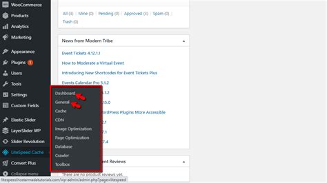 Setting Up General Settings Of WordPress LiteSpeed Cache Plugin HostArmada