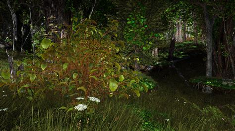 My Setup Landscape Flora Grass Fallout General Discussion LoversLab
