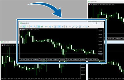 How Do I Display Chart Windows Across Multiple Monitors FXON