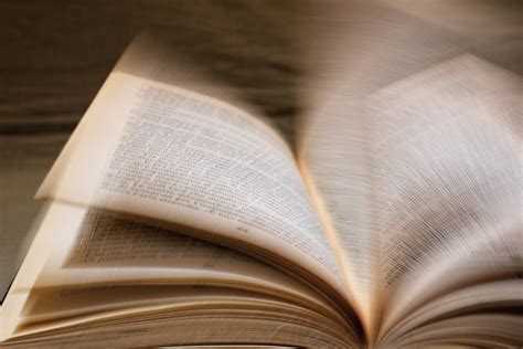 Federica Frezza Tempo Associazione Graffiti