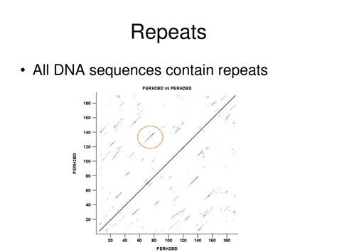 ppt dot plots powerpoint presentation free download id 6742684