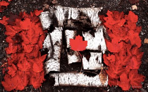 Spotted On Reddit These Maple Leaf Flags Are Made Out Of Maple Leaves