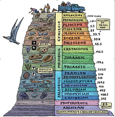 On The Anthropocene And Debts Of Gratitude And Solidarity Reflections