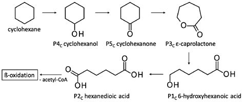 Comparative Bioremediation Of Tetradecane Cyclohexanone And