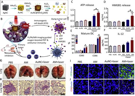 Nanoparticle Mediated Immunotherapy In Triple Negative Breast Cancer