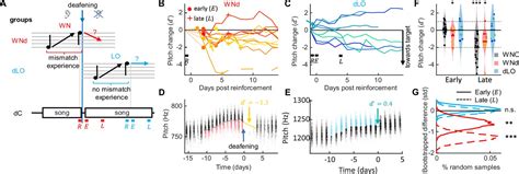 Goal Directed Vocal Planning In A Songbird Elife