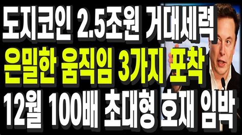 비트코인 리플 도지코인 이더리움 도지코인 25조원 거대세력 은밀한 움직임 3가지 포착 12월 100배 초대형 호재 임박 Youtube
