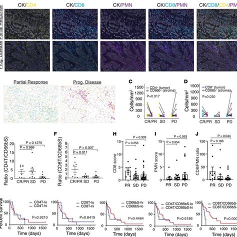 Unsupervised Hierarchical Clustering Identifies Immune Response