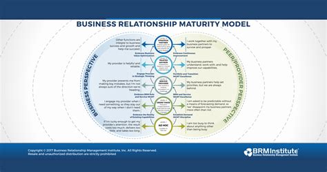 Business Relationship Manager BRM Metrics BRM Institute