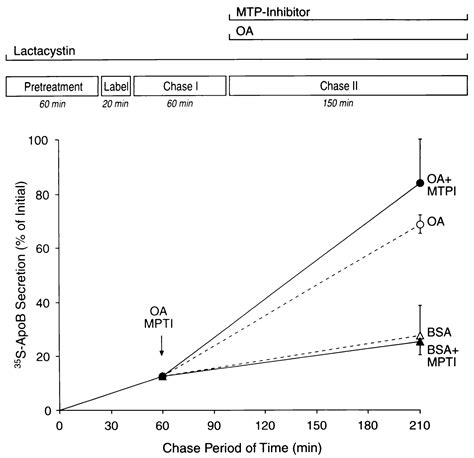 Apoprotein B100 Has A Prolonged Interaction With The Translocon During
