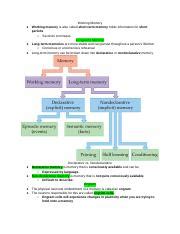 Understanding Working Memory, Long-Term Memory, and Memory | Course Hero