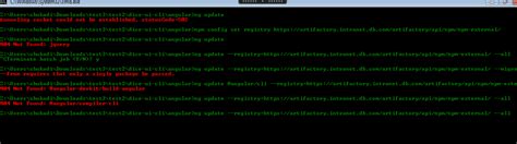 404 Not Found While Running Ng Update After Installing Angularcli60