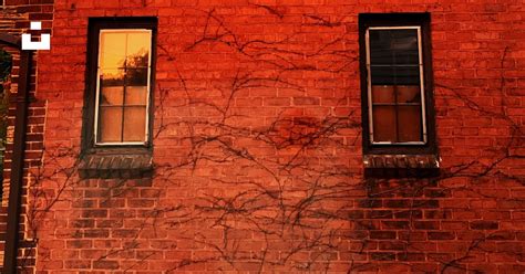 유리창이 있는 갈색 벽돌 건물 사진 Unsplash의 무료 빨강 이미지