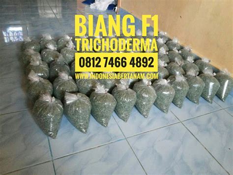 Cara Membuat Trichoderma Cair Indonesia Bertanam