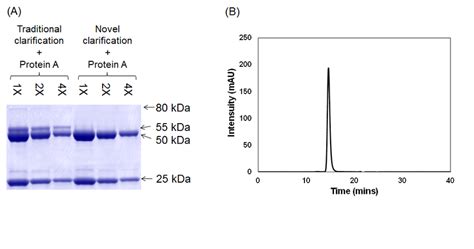 Quality Analysis Of Biosimilar Trastuzumab Purified Using Improved